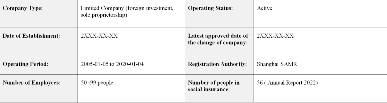 China Annual Report of Companies: A Comprehensive Guide