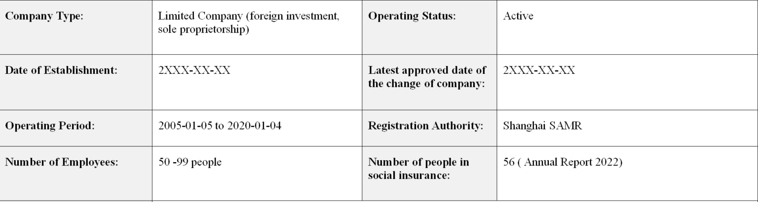 China Annual Report of Companies: A Comprehensive Guide