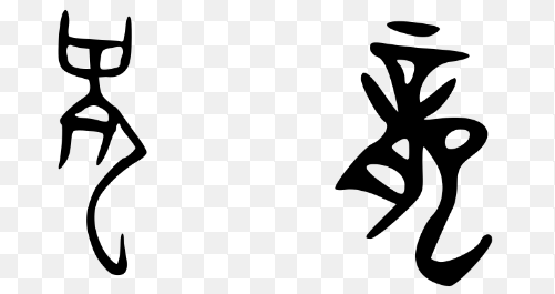 The Chinese Dragon: Unveiling the Eastern 'Lóng' and Western Dragon